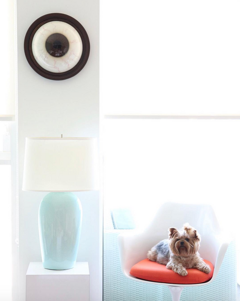 12" Wall Eye – Rhys Kelly